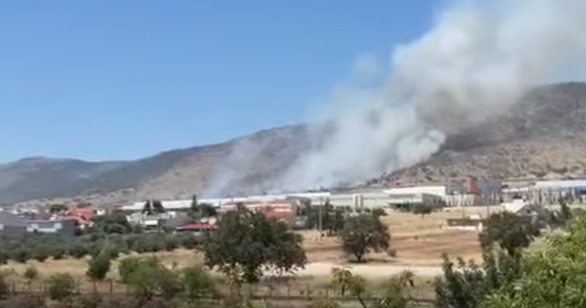 Ενισχύθηκαν οι πυροσβεστικές δυνάμεις στον Ασπρόπυργο - Επιχειρούν 5 ...