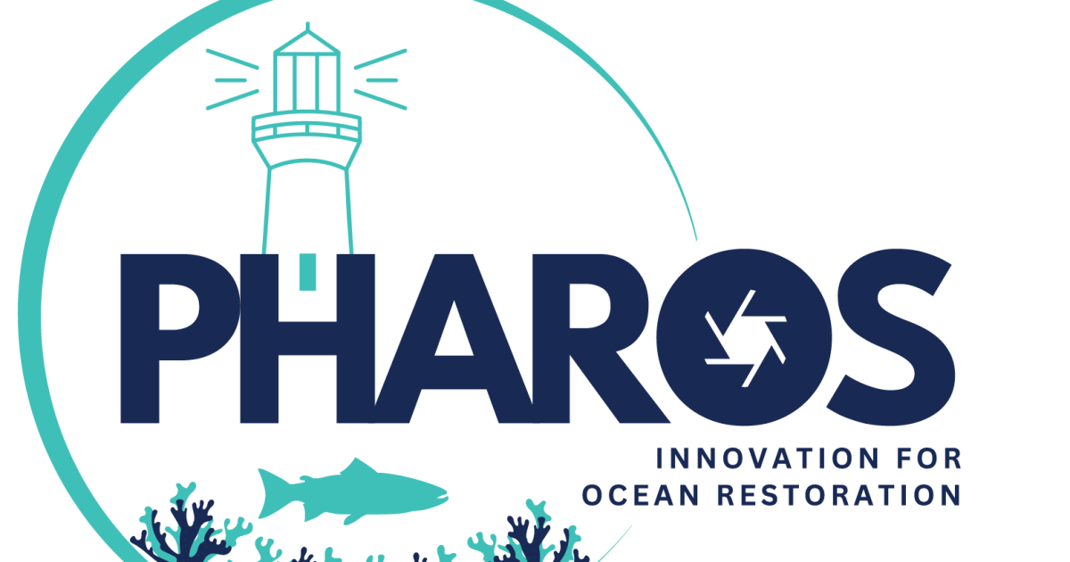 Το Impact Hub Athens συμμετέχει στο πρόγραμμα PHAROS | Flash