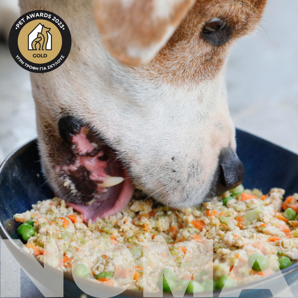 NOMA: Συνεργασία με την Human & Pets για την Εξαγωγή Πρωτοποριακών ...